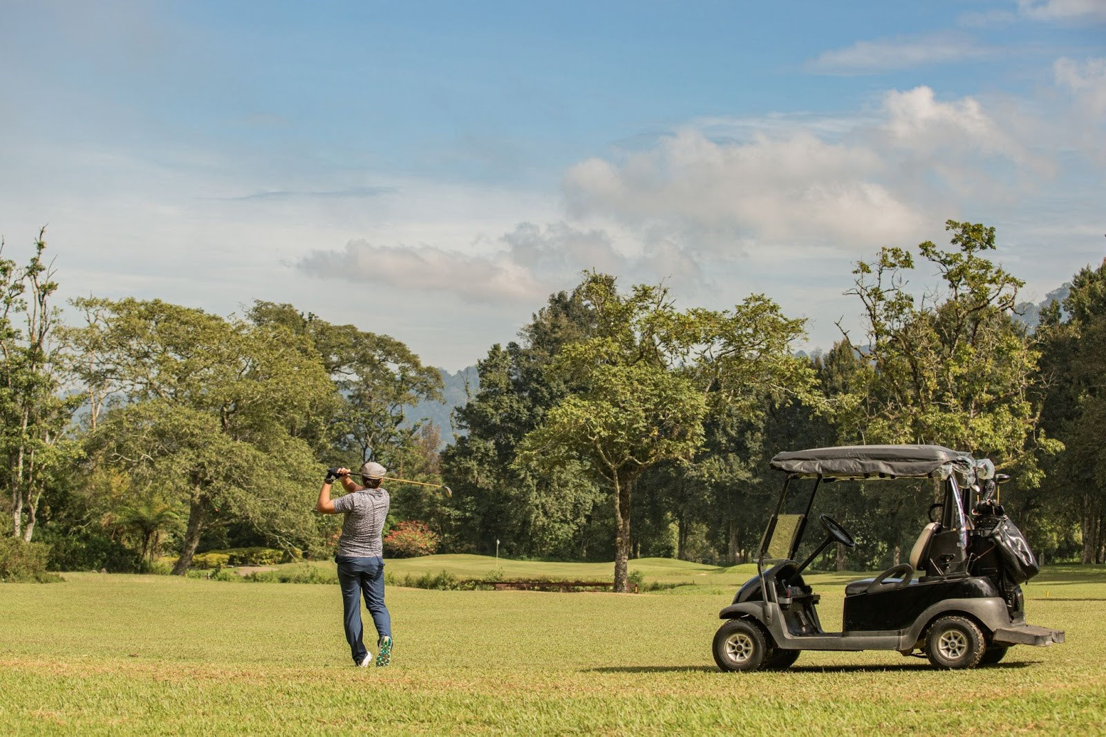 An Introduction to Golf Carts and Their Dimensions – Pins and Aces